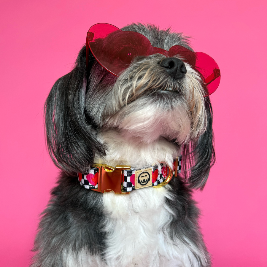 Velvet – Molly & Co.