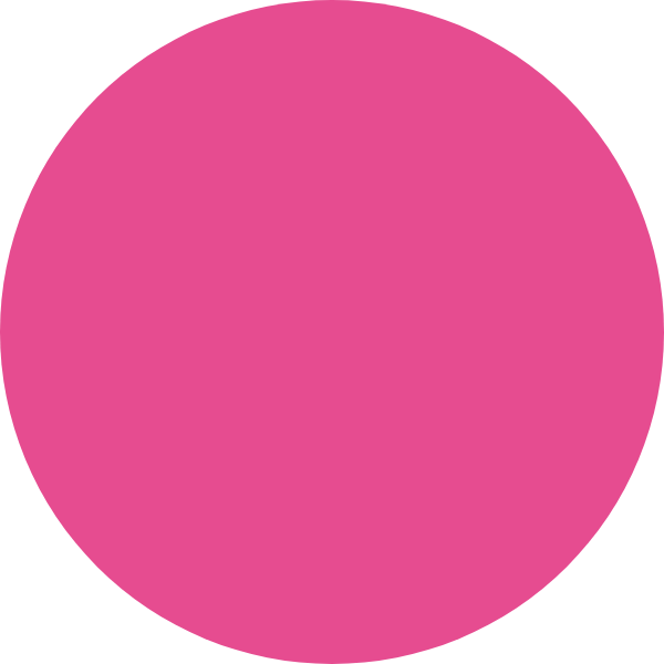 ROSE VELVET – Molly & Co.