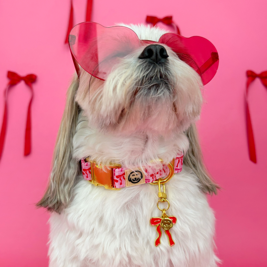 COLLAR CHARMS – Molly & Co.