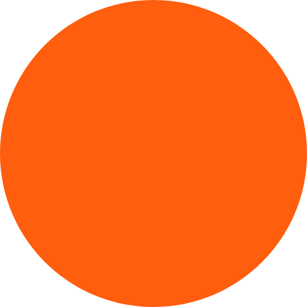 SUNBURST – Molly & Co.