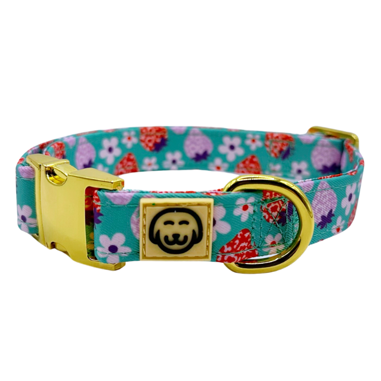 Strawberry - Dog Collar – Molly & Co.