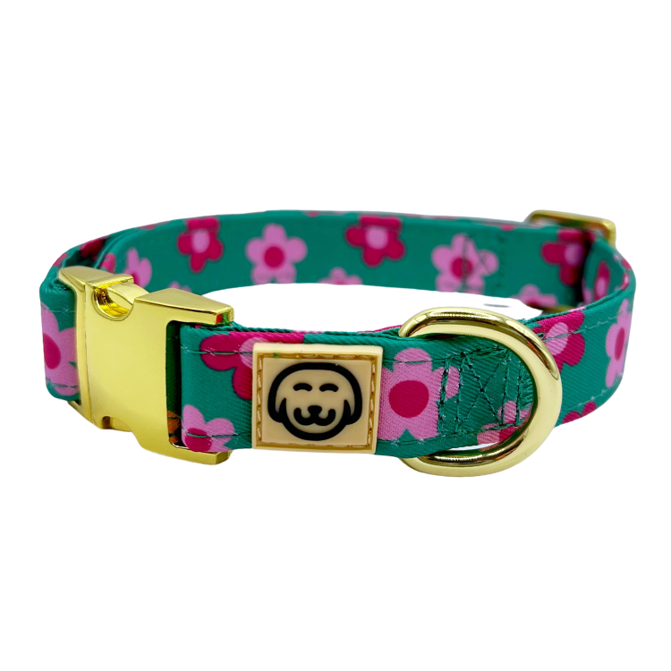 Petunia - Dog Collar – Molly & Co.