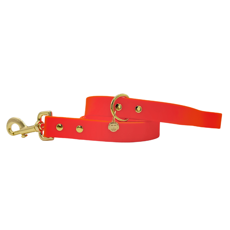 Sunburst - Splashproof Dog Leash – Molly & Co.
