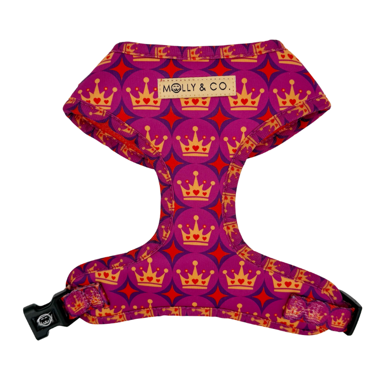 Royal Queen - Fashionable Dog Adjustable Harness – Molly & Co.
