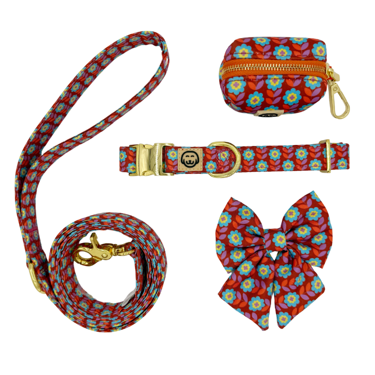 Dog Deluxe Bundle - Poppy – Molly & Co.