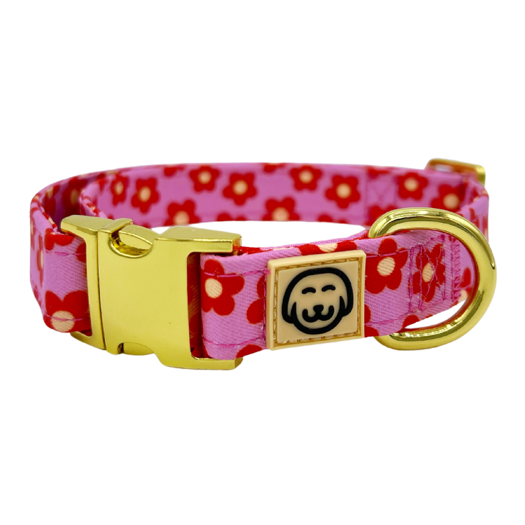 Wildflower - Dog Collar – Molly & Co.