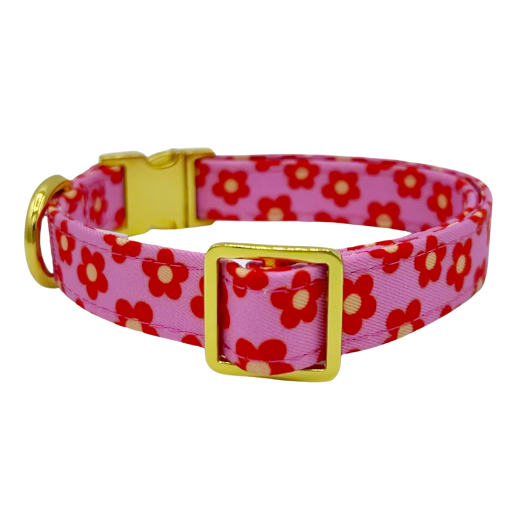 Wildflower - Dog Collar – Molly & Co.