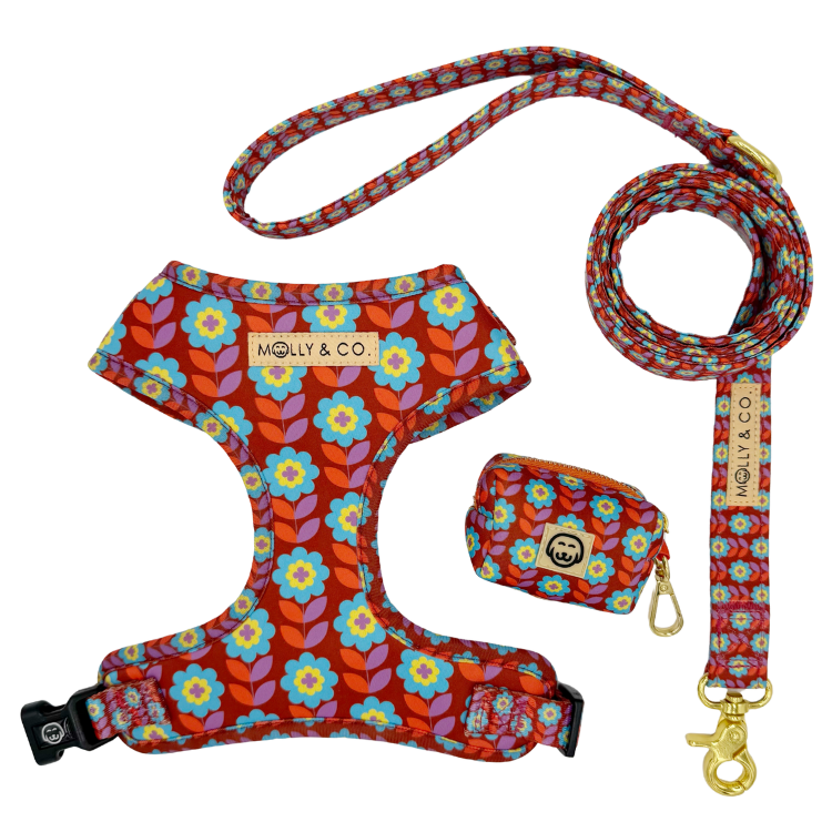 Poppy - Dog Walking Bundle – Molly & Co.
