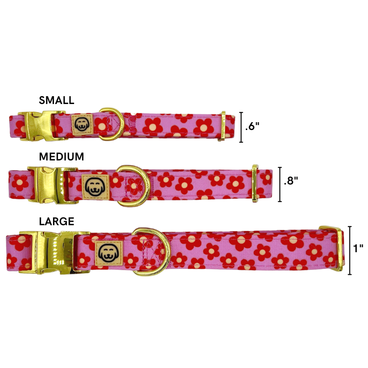 Wildflower - Dog Collar – Molly & Co.