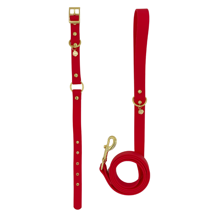Ruby Red - Splashproof Bundle – Molly & Co.