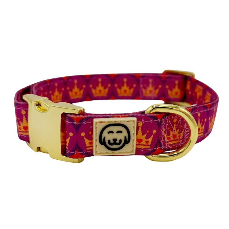 Royal Queen - Dog Collar – Molly & Co.