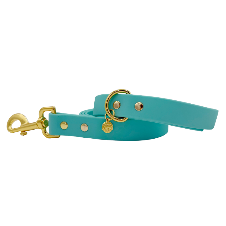 Molly - Splashproof Dog Leash – Molly & Co.