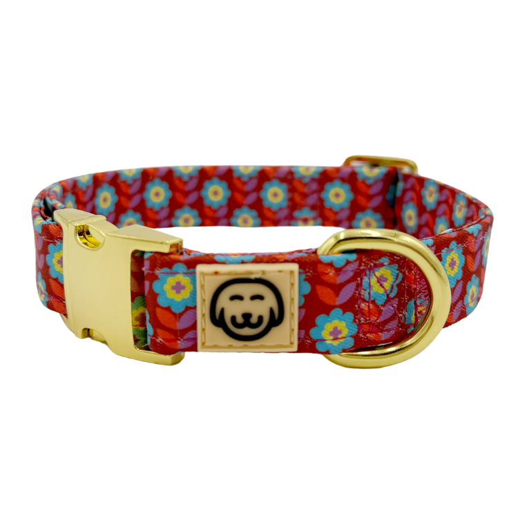 Poppy - Dog Collar – Molly & Co.
