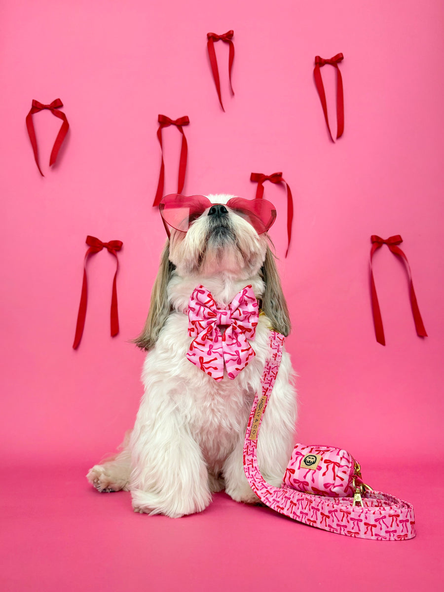 Coquette - Dog Poop Bag Holder – Molly & Co.
