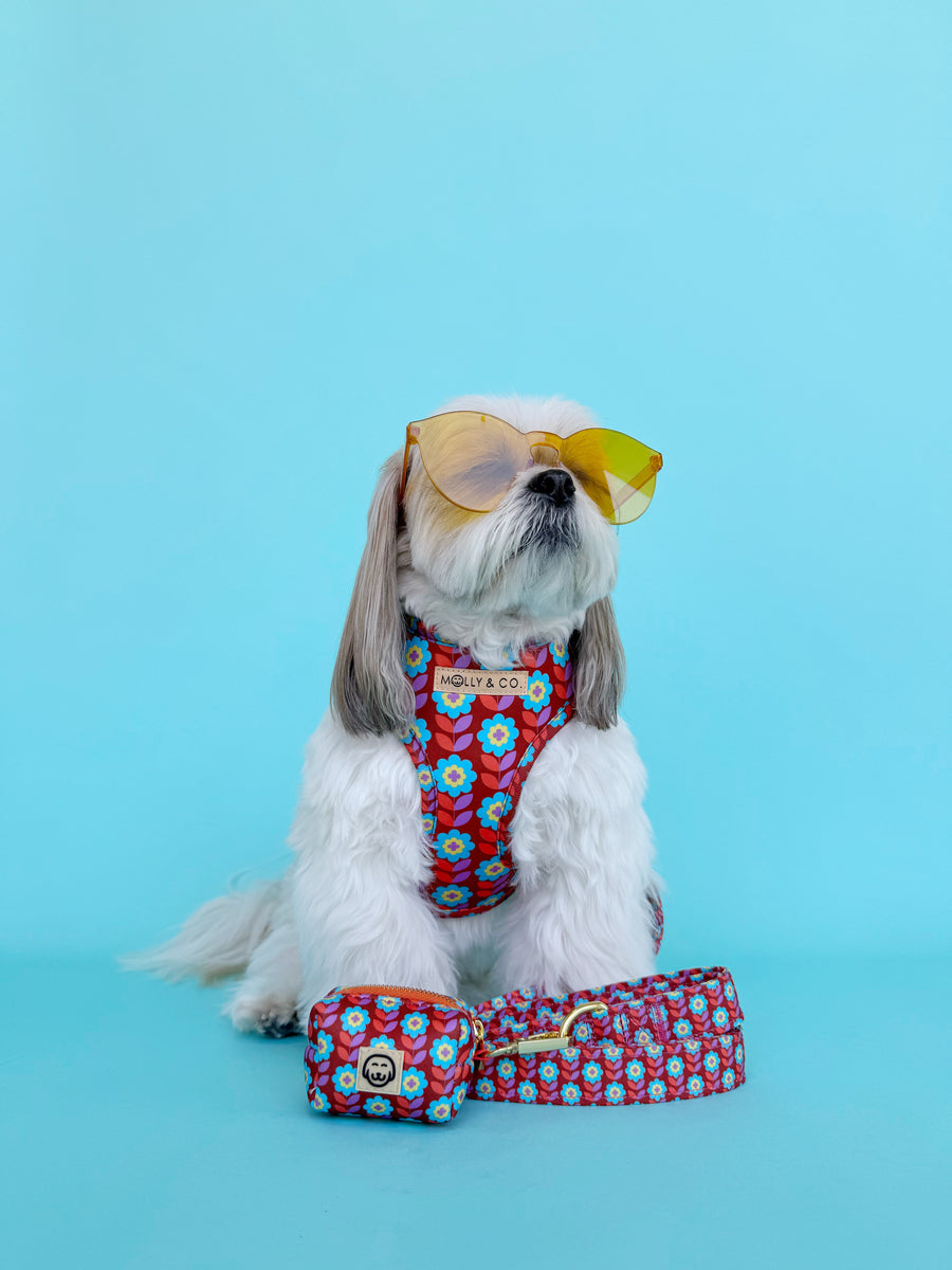 Poppy - Dog Poop Bag Holder – Molly & Co.