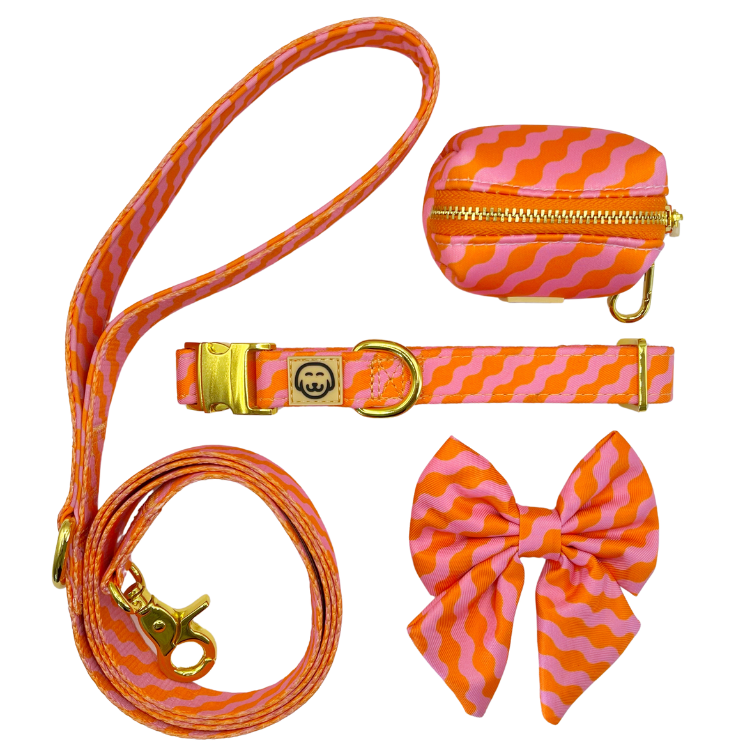 Dog Deluxe Bundle - Mango – Molly & Co.