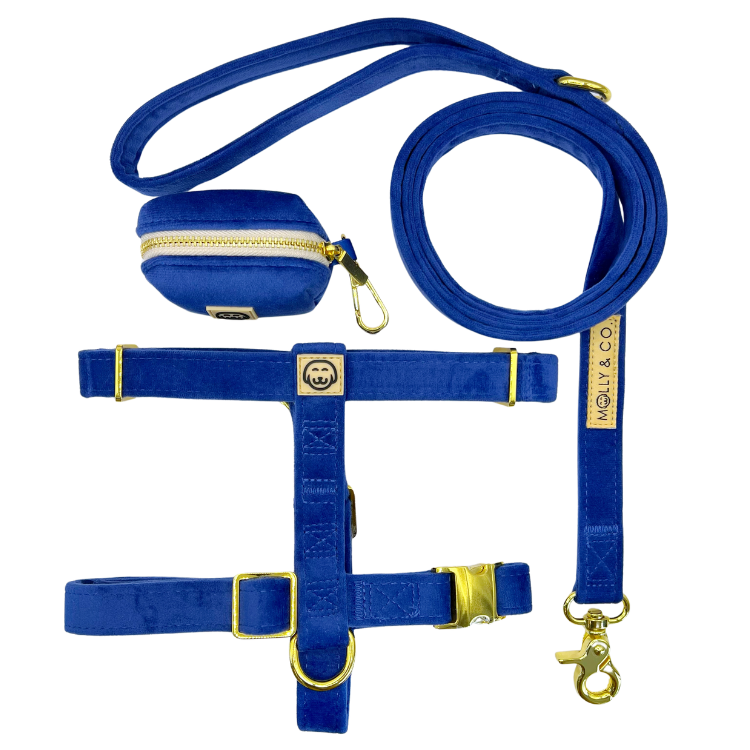 Royal Velvet - Dog Walking Bundle – Molly & Co.