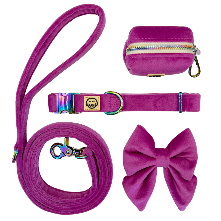 Dog Deluxe Bundle - Plum Velvet – Molly & Co.