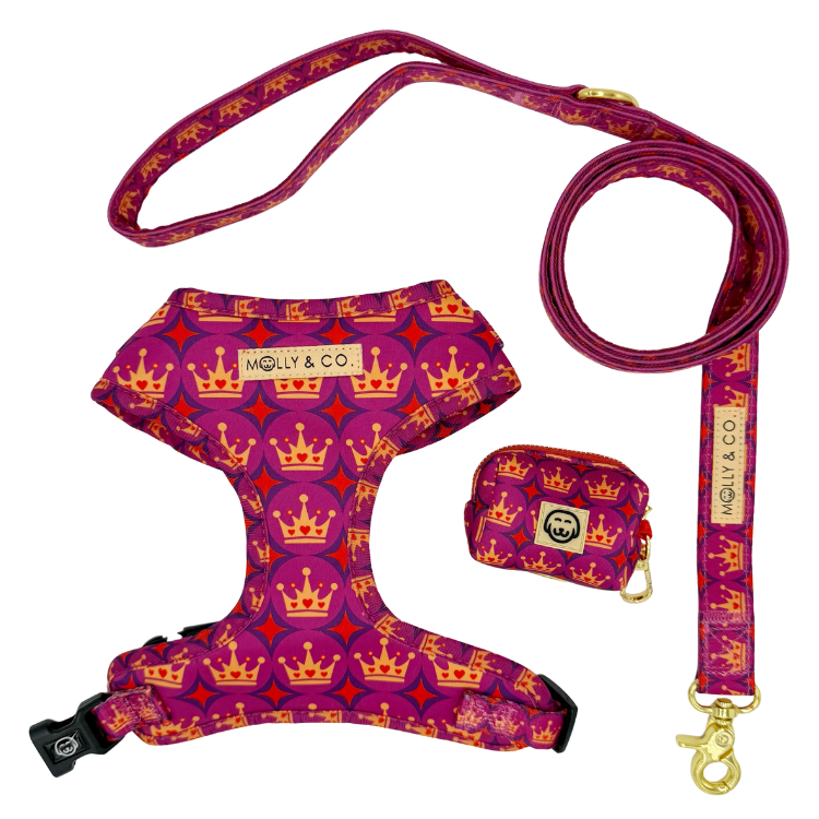 Royal Queen - Dog Walking Bundle – Molly & Co.