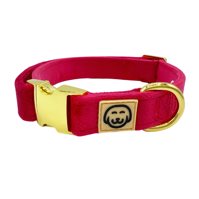 Scarlet Velvet - Red Dog Collar – Molly & Co.